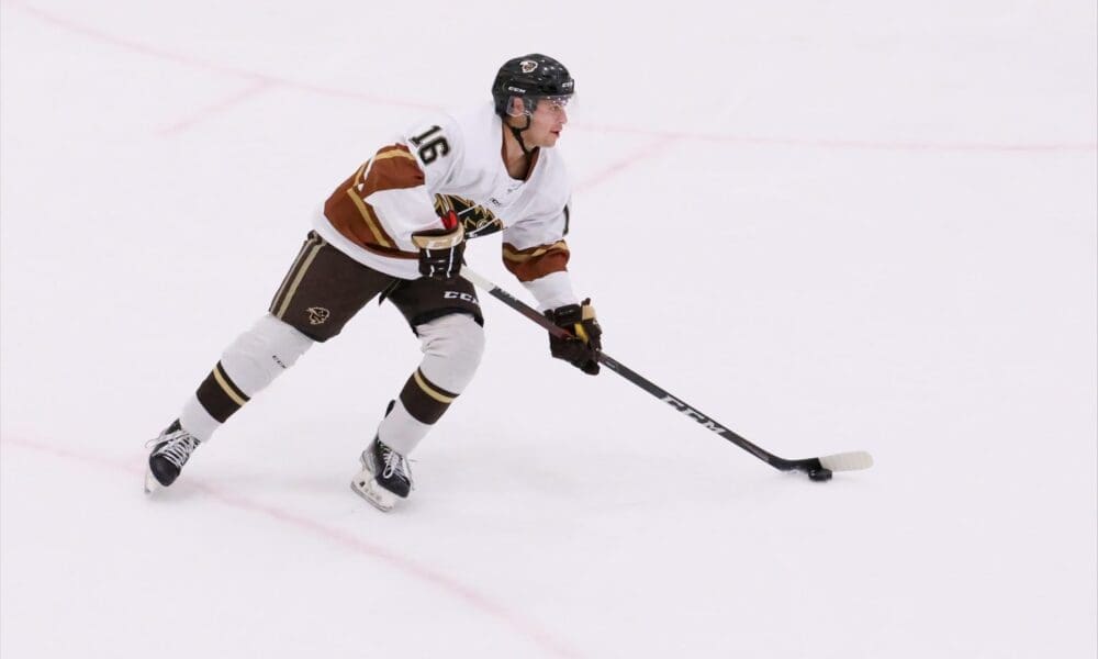 Clubs | British Ice Hockey